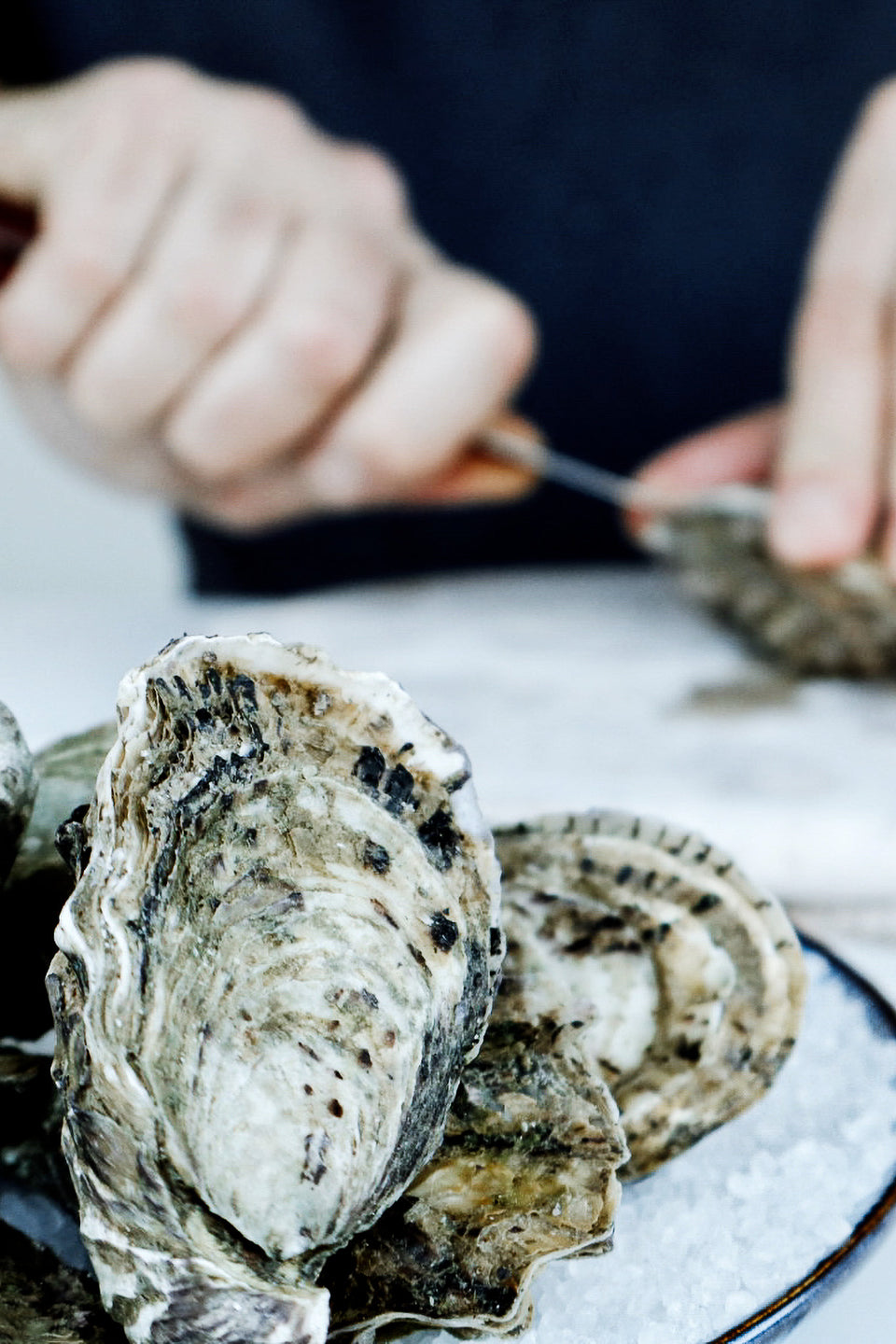 Shucking & Serving – Pacific Oyster Co.